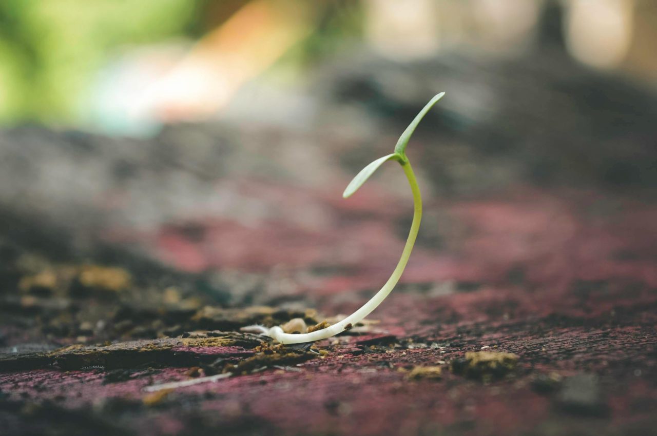 Fostering Growth: Best Practices for Enriching Clinical Supervision ...